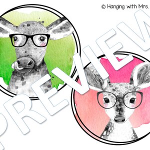 Hipster Animal Welcome Back to School Bulletin Board: Zoo Decor - Etsy