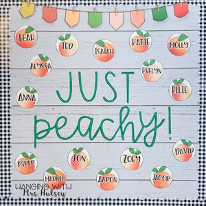 Peach Classroom Decor Bundle - Etsy