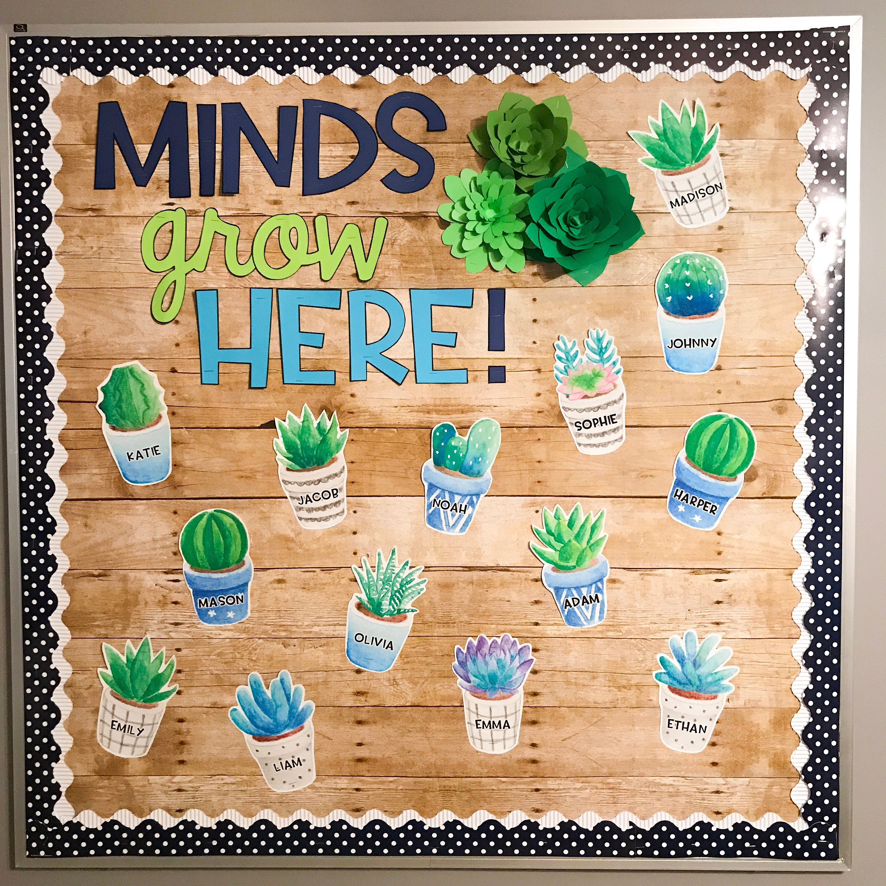 Succulent Welcome Back to School Bulletin Board - Etsy