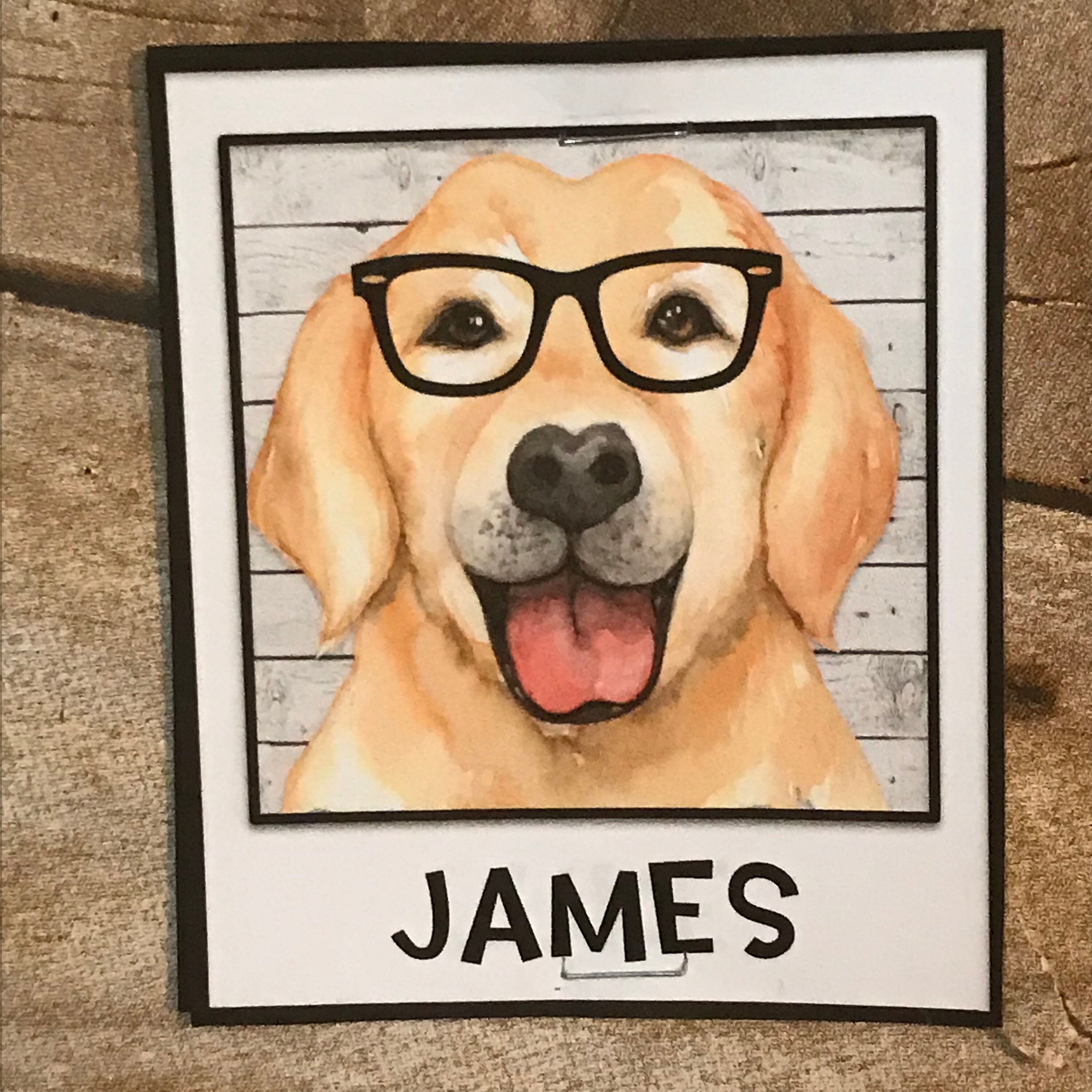 Hipster Dog Welcome Back to School Bulletin Board - Etsy