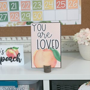 Peach Classroom Decor Bundle - Etsy