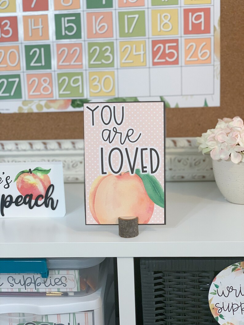 Peach Classroom Decor Bundle - Etsy