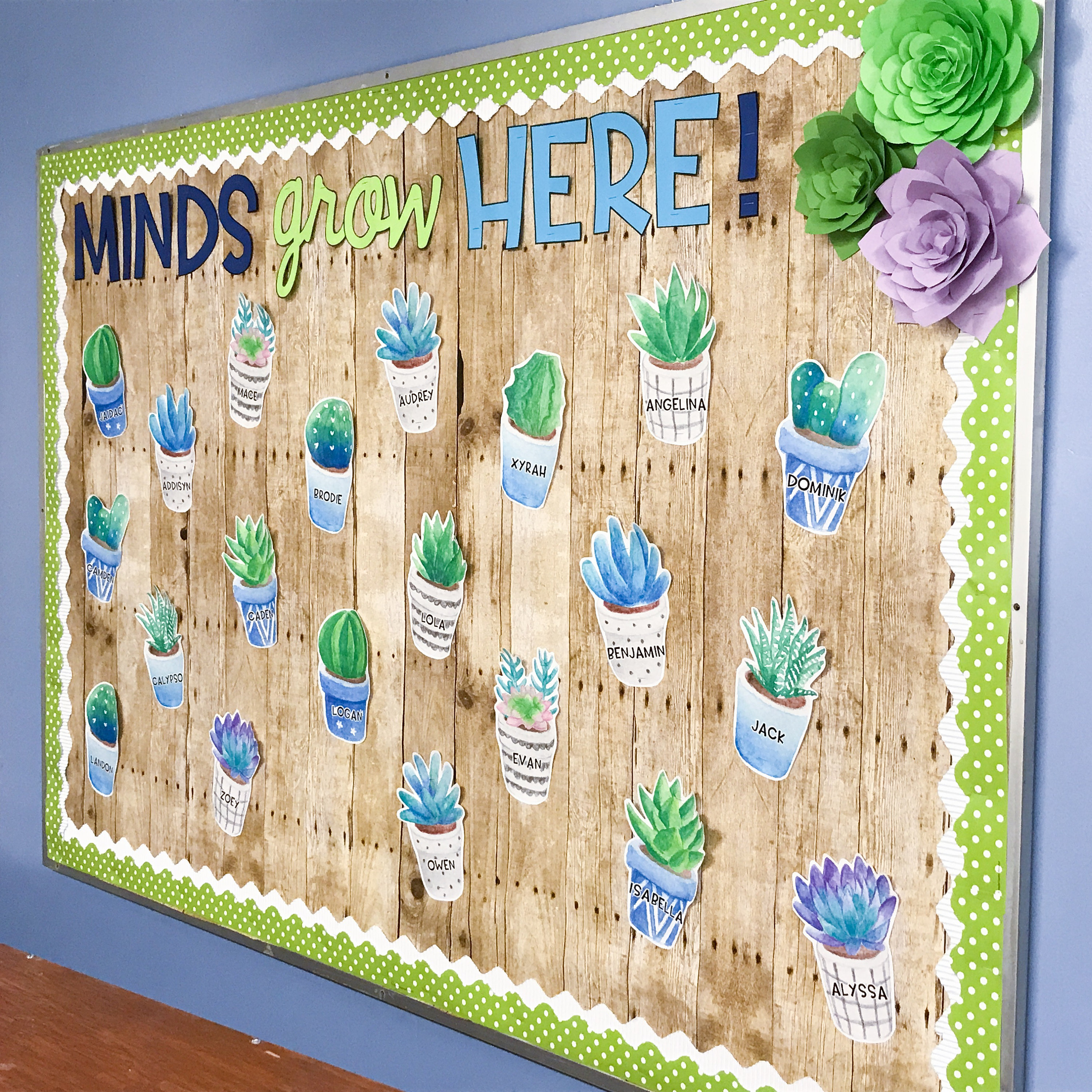 Succulent Welcome Back to School Bulletin Board - Etsy