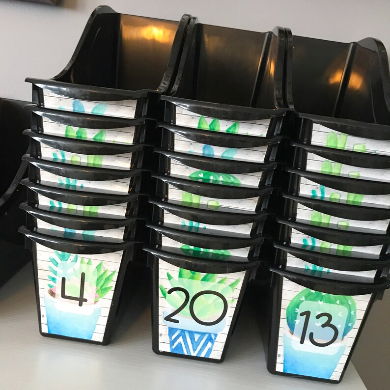 Succulent Classroom Decor Bundle - Etsy