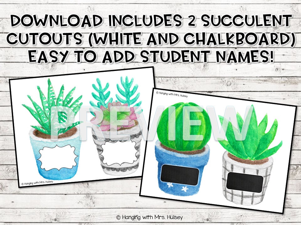 Succulent Welcome Back to School Bulletin Board - Etsy