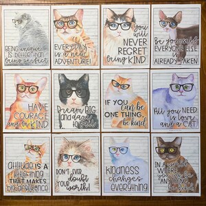 Hipster Cat Classroom Decor Bundle - Etsy