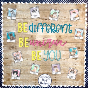 Hipster Cat Welcome Back to School Bulletin Board - Cat Classroom - Cat ...