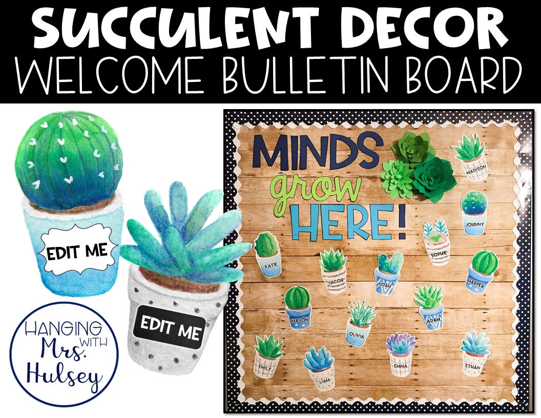 Succulent Welcome Back to School Bulletin Board - Etsy
