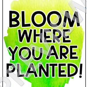 Watercolor Motivational Posters - Watercolor Classroom Decor ...