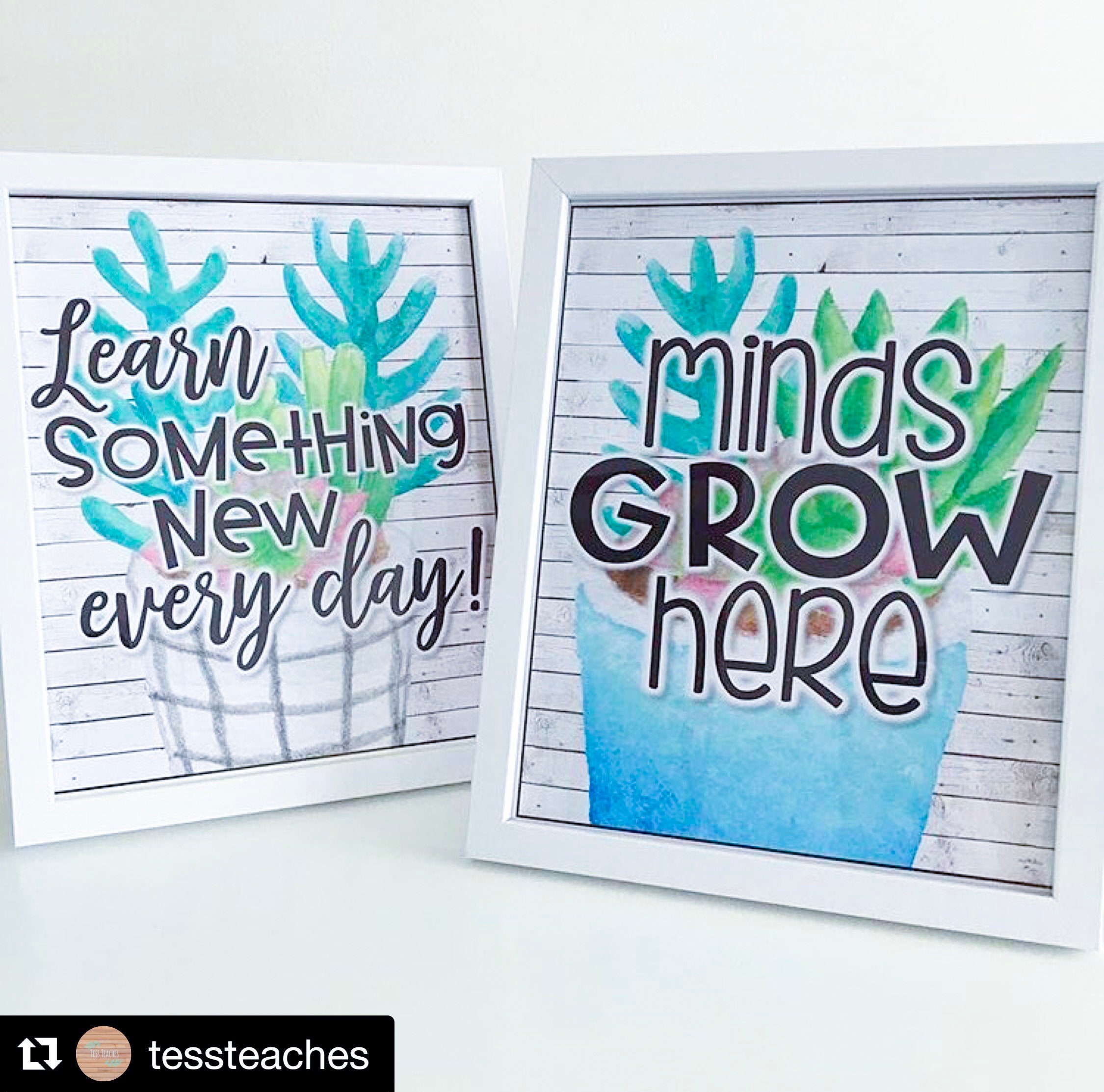 Succulent Motivational Posters - Etsy