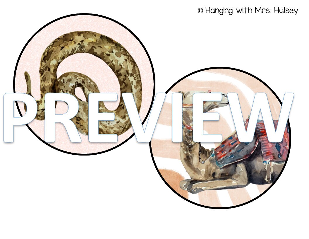 Boho Desert Welcome Back to School Bulletin Board - Etsy