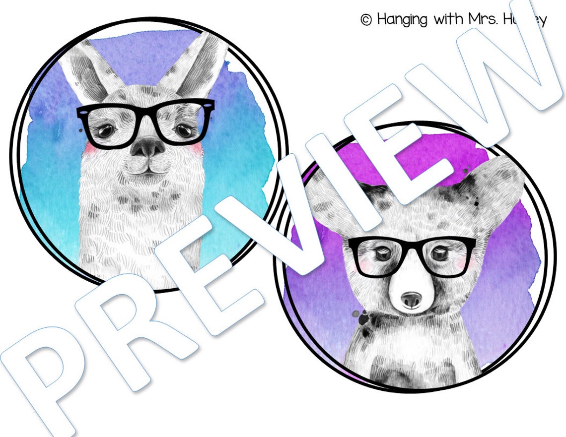 Hipster Animal Welcome Back to School Bulletin Board: Zoo Decor - Etsy