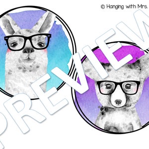 Hipster Animal Welcome Back to School Bulletin Board: Zoo Decor - Etsy