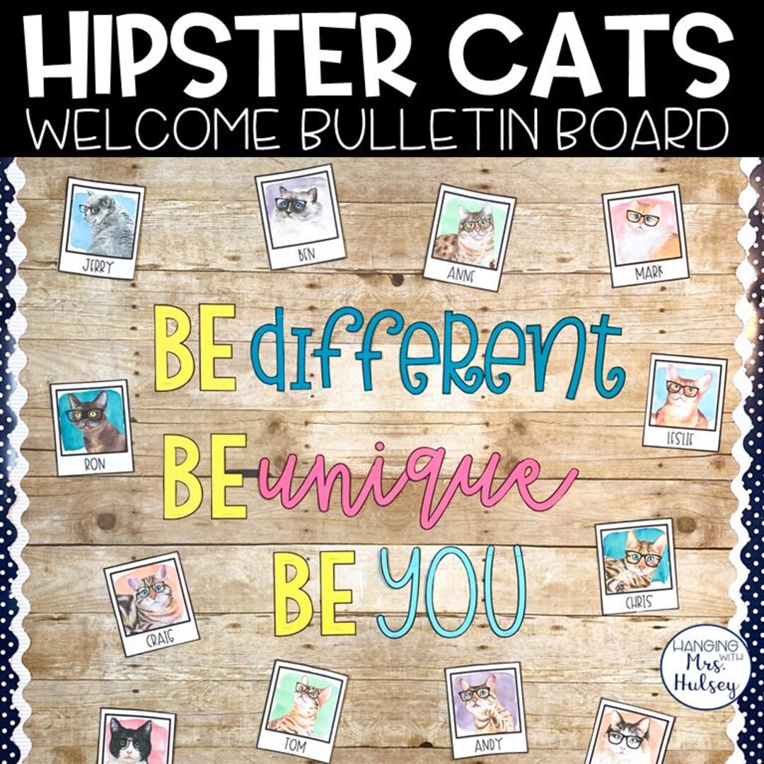 Hipster Cat Welcome Back to School Bulletin Board - Cat Classroom - Cat ...