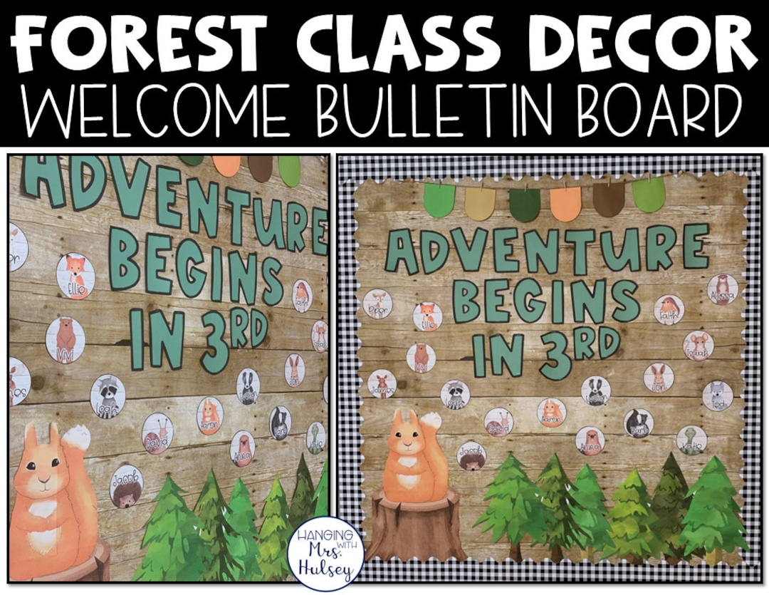 Forest Welcome Back to School Bulletin Board - Etsy