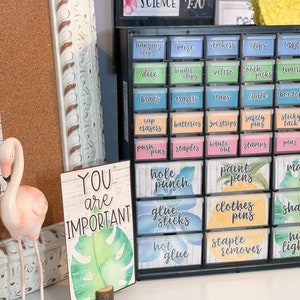 Tropical Classroom Decor Bundle - Etsy