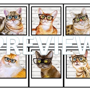 Hipster Cat Welcome Back to School Bulletin Board - Cat Classroom - Cat ...