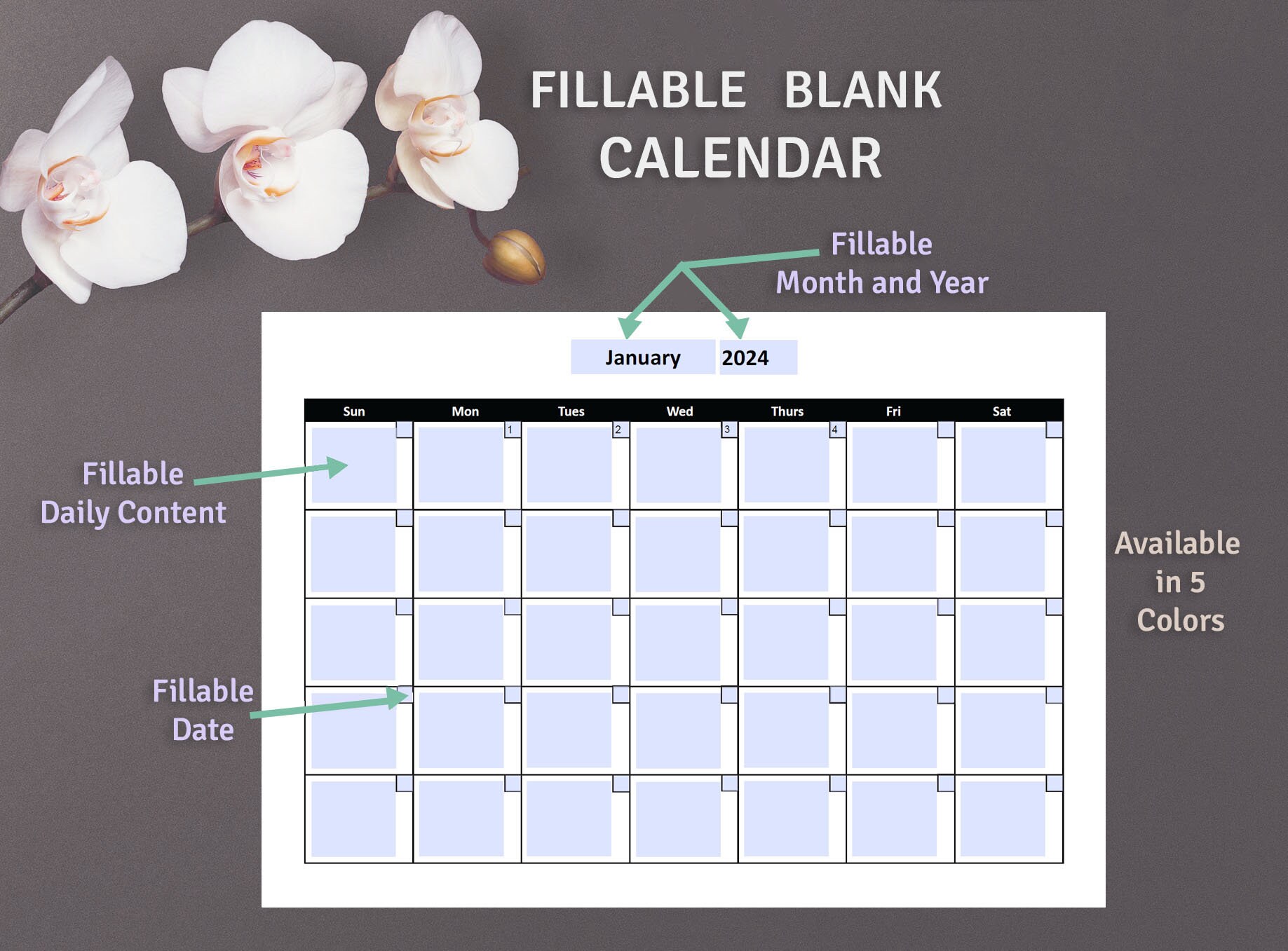 Fillable Editable Blank Monthly Calendar Printable, Landscape Layout ...