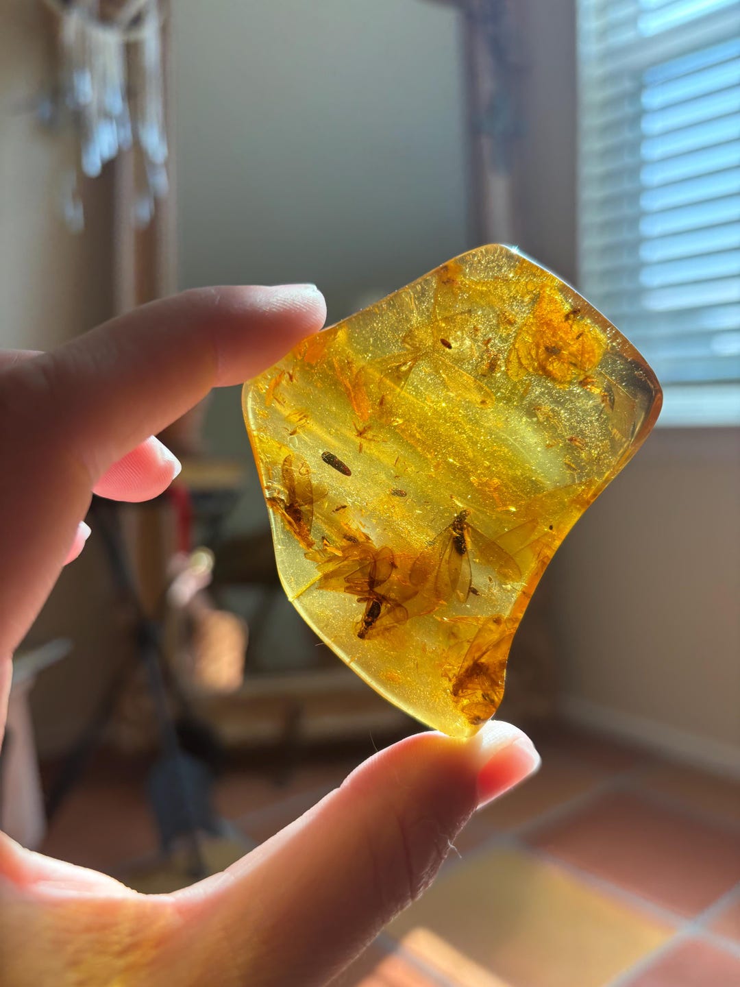 Insects Amber Chunk,fossils, Gemstones, Chunky Amber, Tree Sap With ...