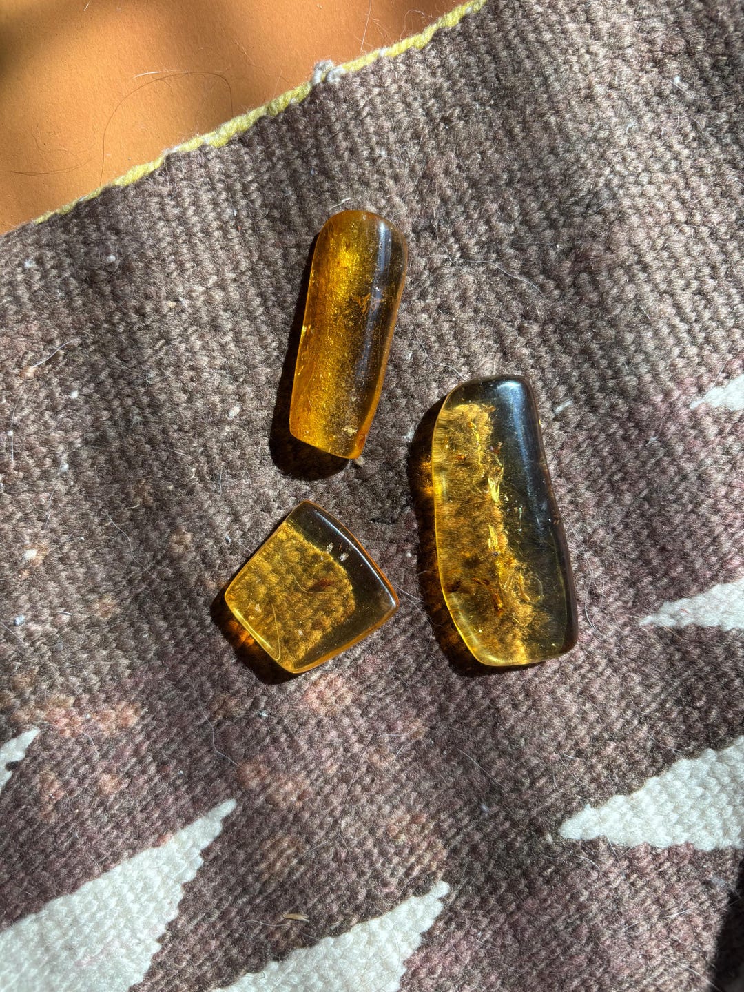 Insects Amber Chunks,fossils, Gemstones, Chunks of Amber, Tree Sap With ...