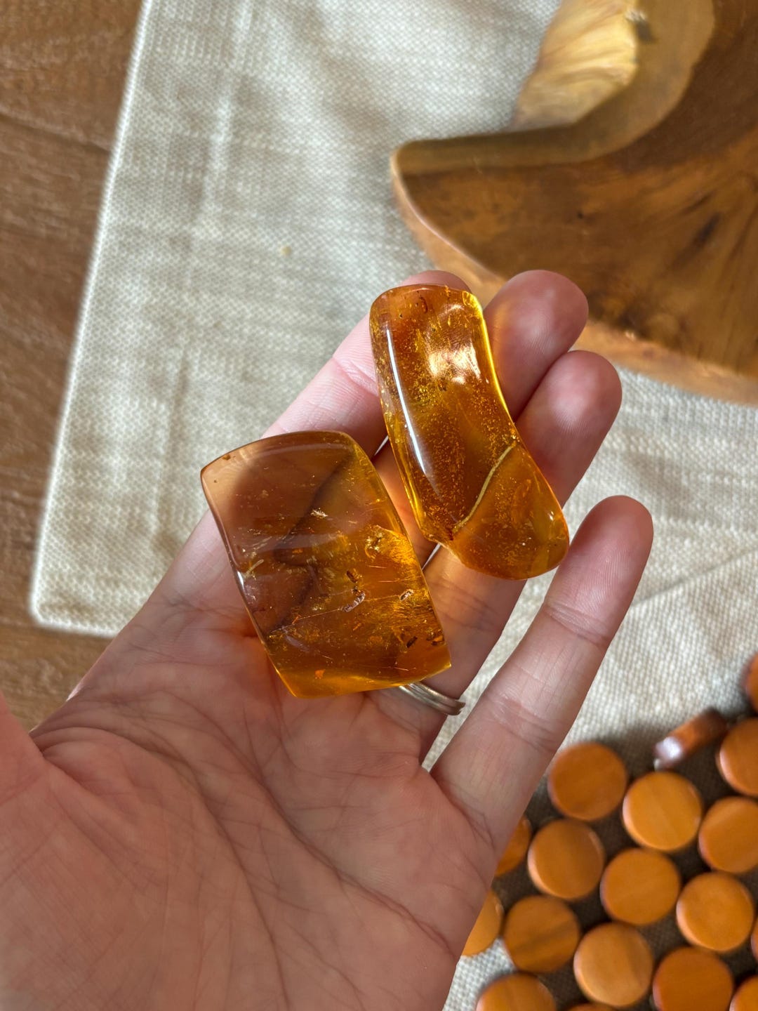 Insects Amber Chunks,fossils, Gemstones, Chunks of Amber, Tree Sap With ...