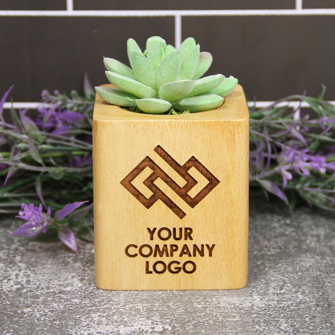 Bulk Corporate Gifts for Employee, Bulk Succulent Planter With Company ...