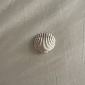 Concha Blanca Clásica De Las Islas Canarias - Etsy