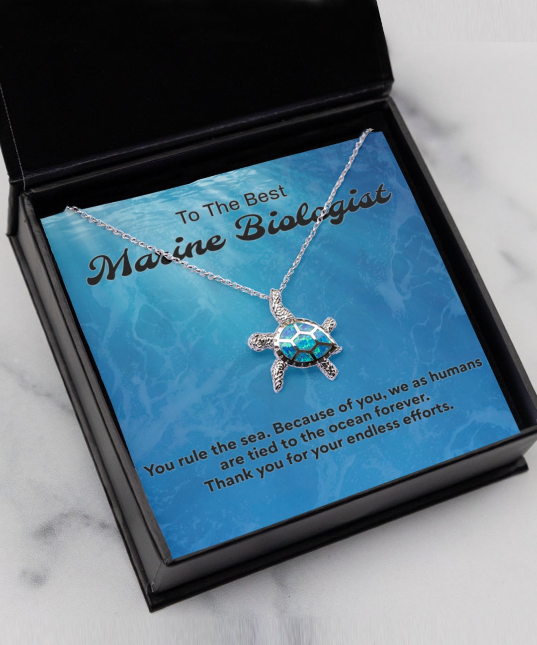 Marine Biologist Gift, Precious Jewelry Necklace and Earrings, Turtle ...