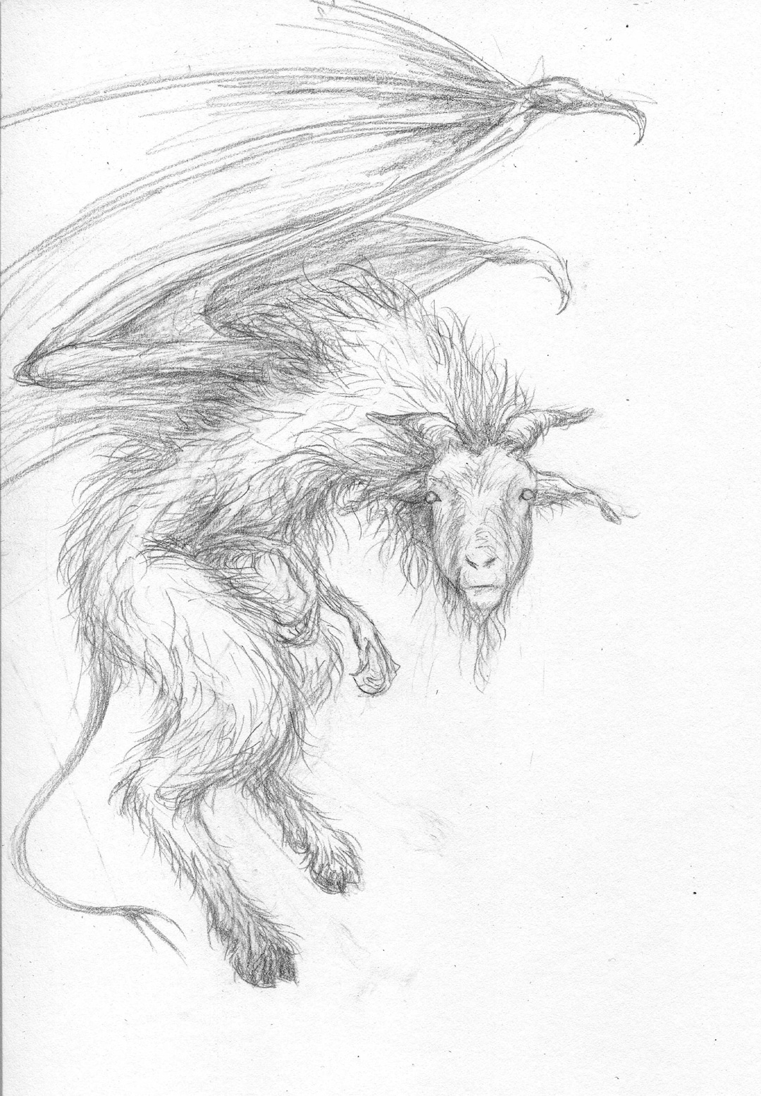 Jersey Devil Pencil Drawing - Etsy