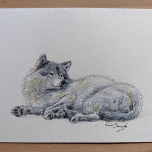 Wolf Watercolor Painting - Etsy
