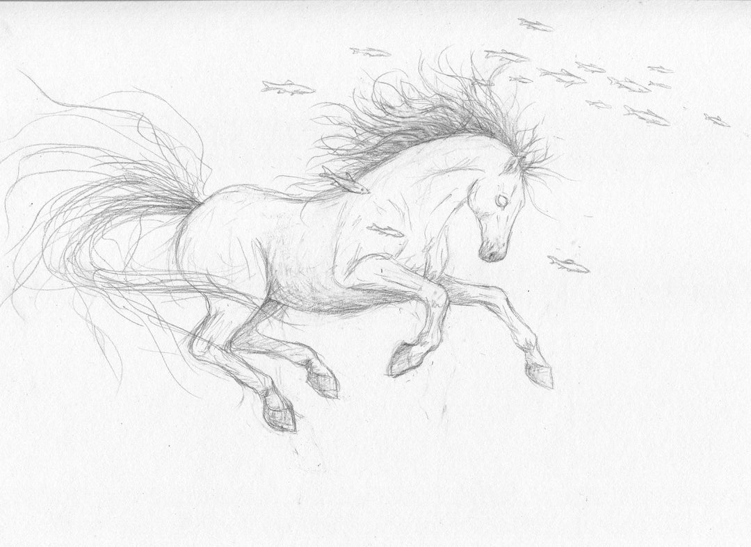 Kelpie Pencil Drawing - Etsy