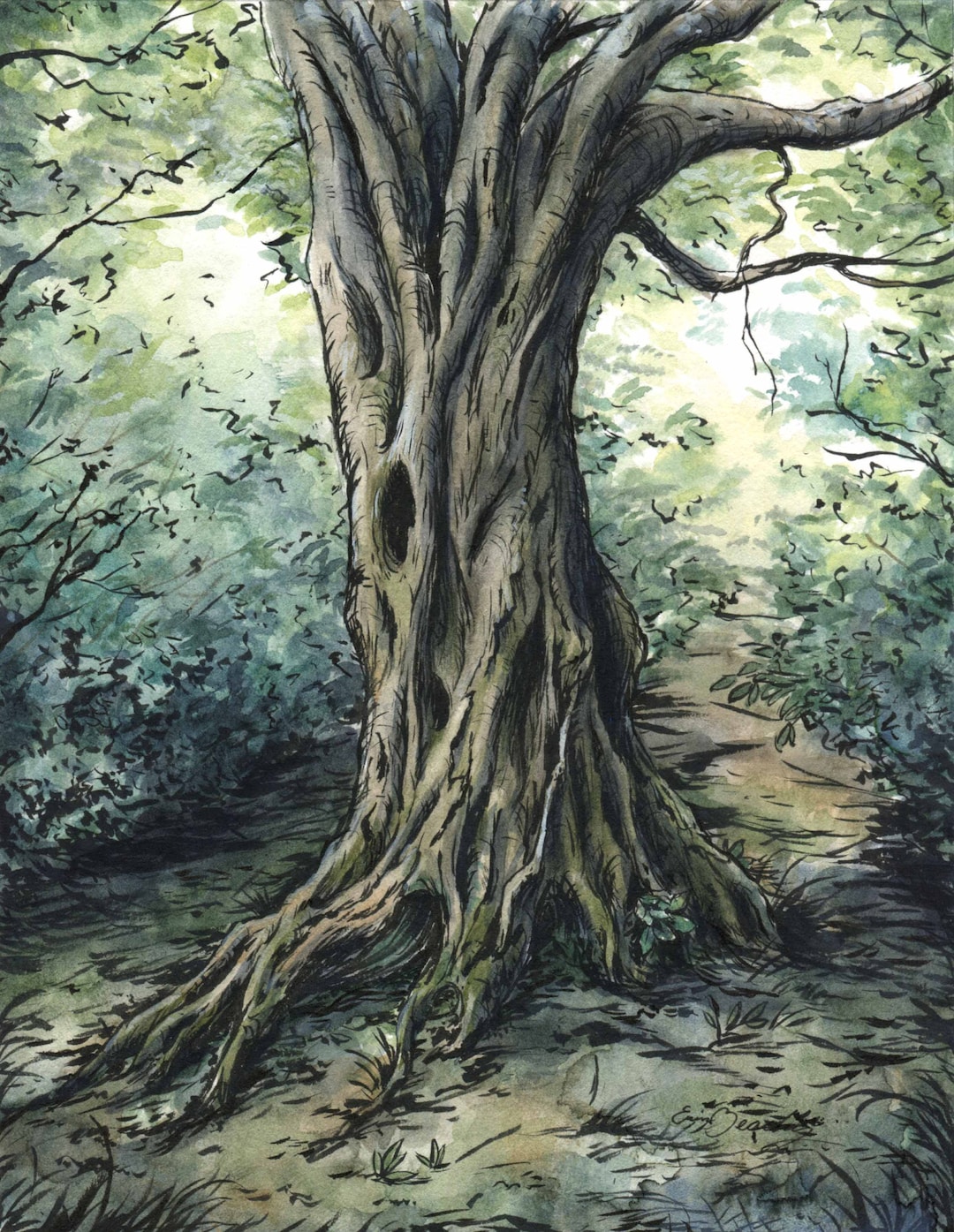 Tree Watercolor Painting - Etsy