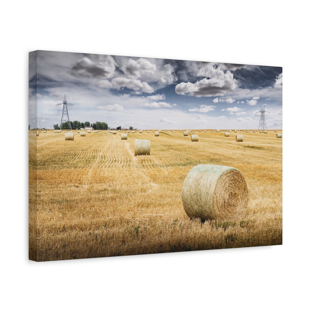 ROUND ROLLS Canvas | Prairie Landscape | Hay Bales Print | Farmhouse ...