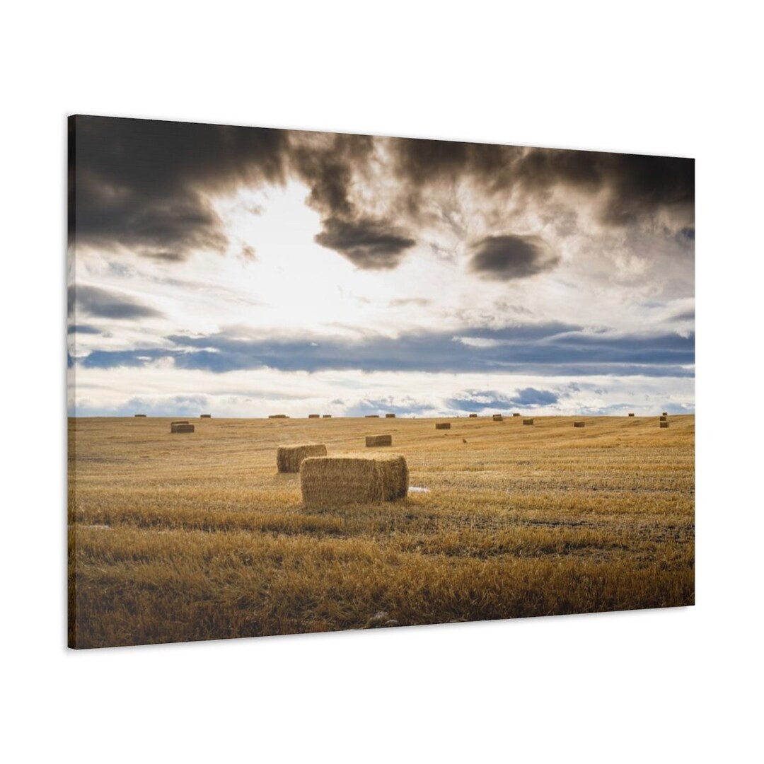 SQUARE HAY BALES Print | Farmhouse Decor | Home Office Wall Art ...