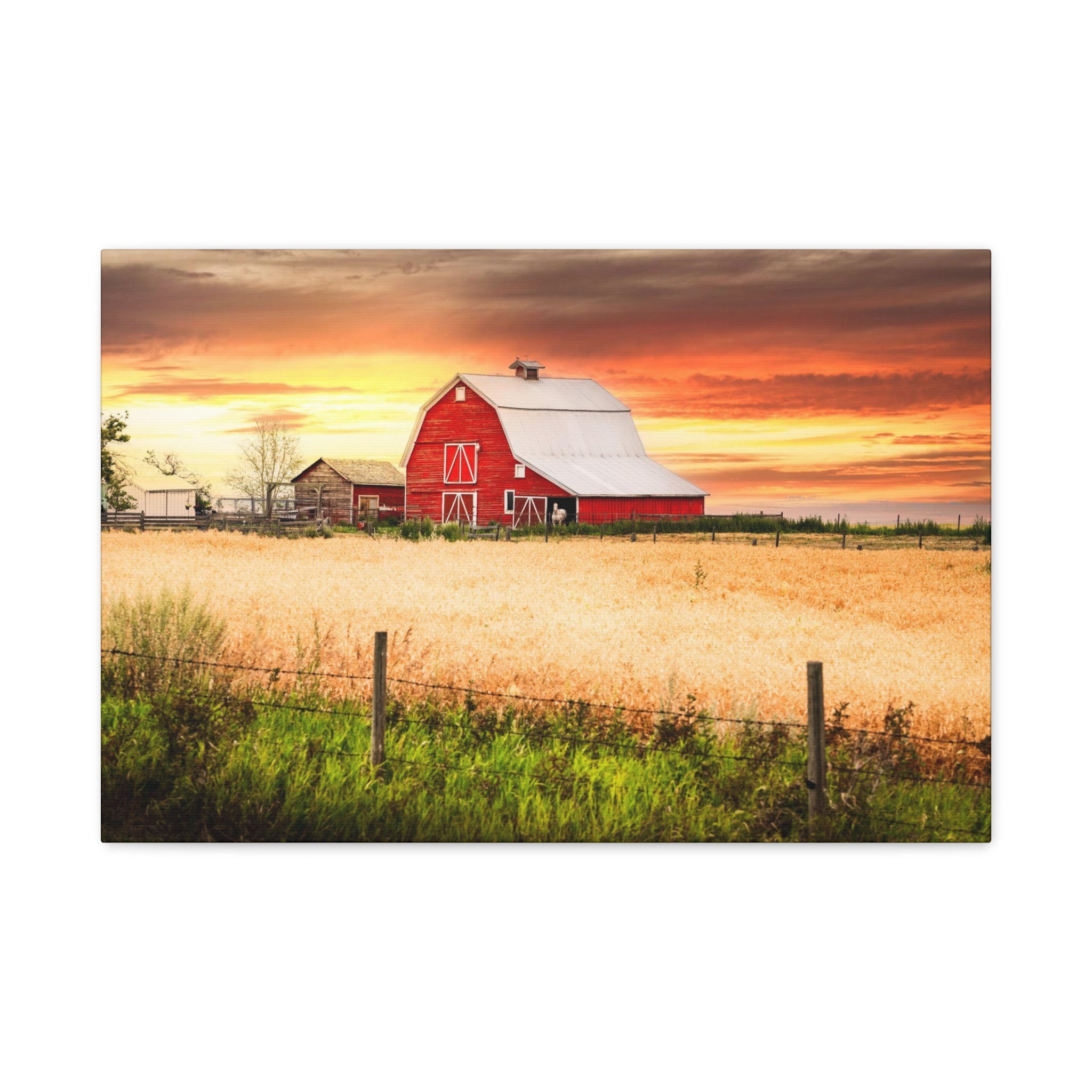 Red Barn Canvas | Farmhouse Print | Alberta Canada Landscape | Prairie ...