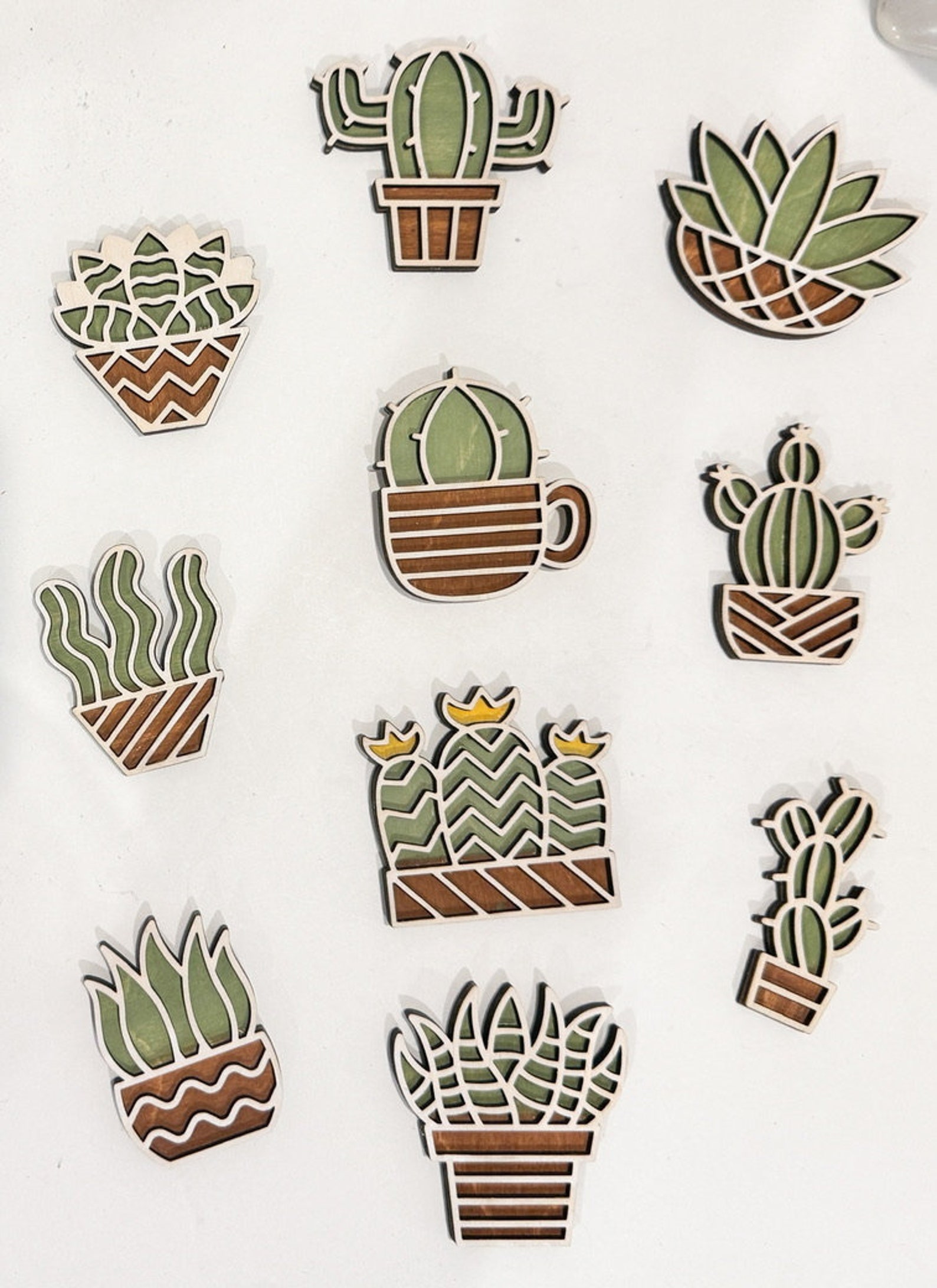 Succulent Magnets | Cactus Fridge Magnets, Set of 10 - Etsy