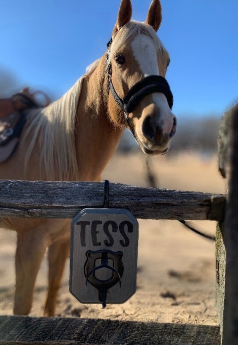 Stallmate® is a Hanging "over the Stall " Personalized Horse Sign With ...