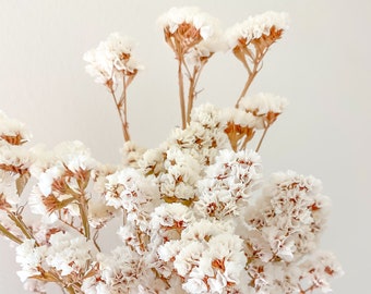 White Statice Dried Flower Bunch White Sea Lavender Bouquet Dried ...