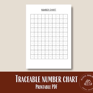 Number Chart Worksheet, 1-100 Number Chart, Traceable Number Chart ...