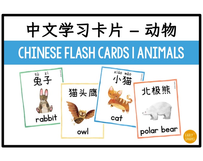 Simplified Chinese Picture Dictionary the Picture Word Bank - Etsy