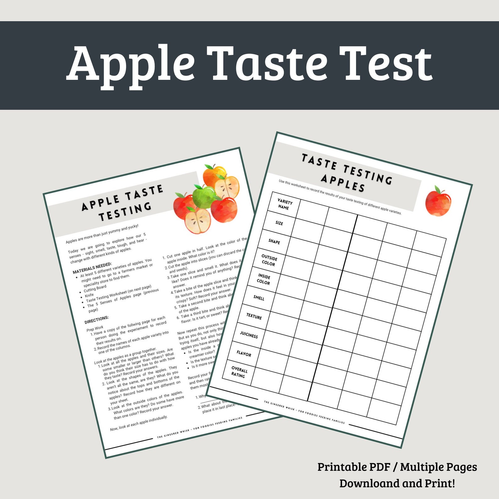 Apple Taste Test Activity Printable Worksheet - Etsy