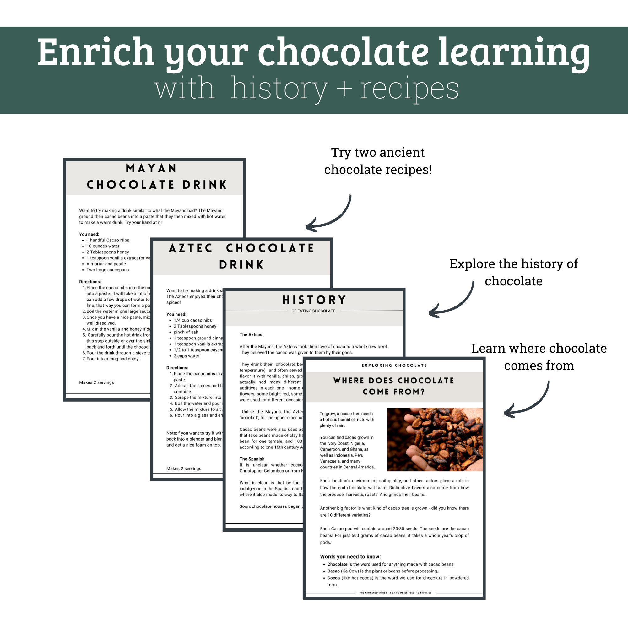 Exploring Chocolate Taste Testing Activity, Foodie Experiment, Family ...