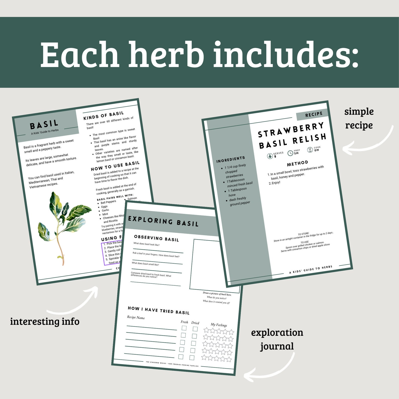 Kids Guide to Herbs Learning Activity, Kids Kitchen Homeschool ...