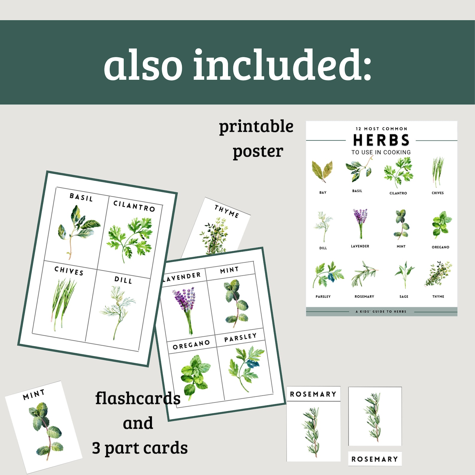 Kids Guide to Herbs Learning Activity, Kids Kitchen Homeschool ...