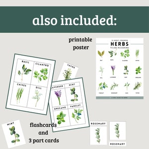 Kids Guide to Herbs Learning Activity, Kids Kitchen Homeschool ...