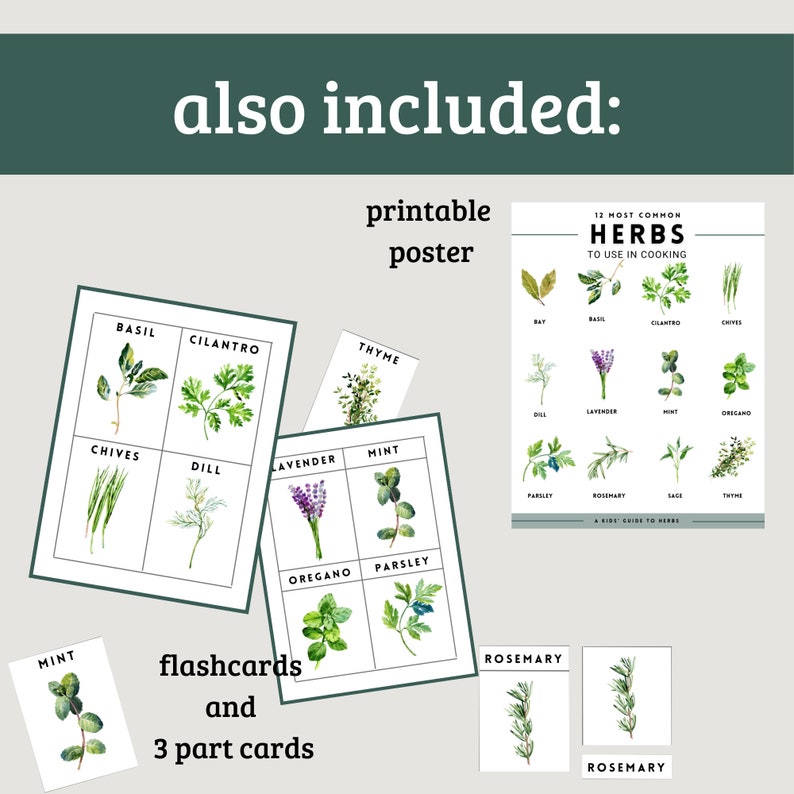 Kids Guide to Herbs Learning Activity, Kids Kitchen Homeschool ...