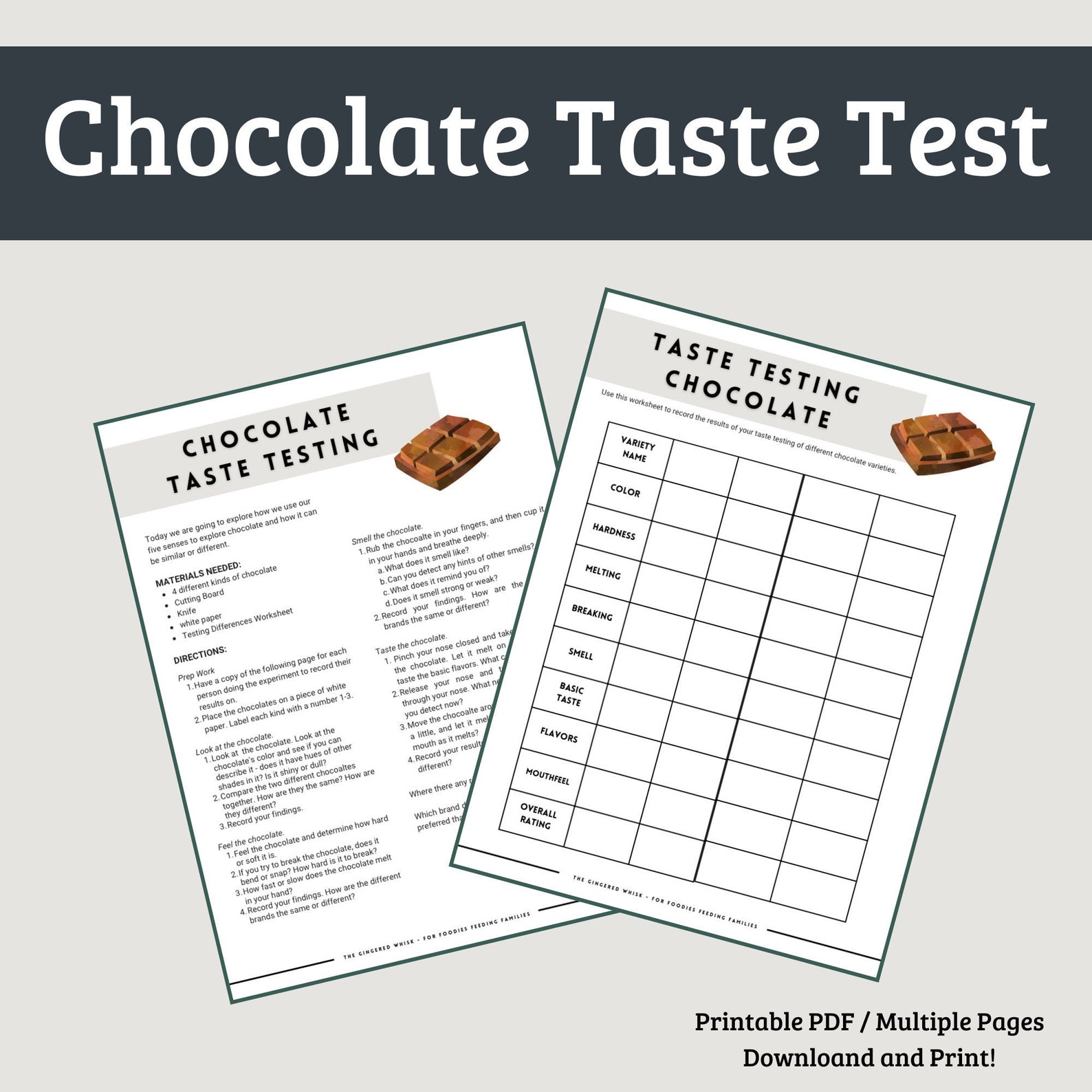 Chocolate Taste Test Activity Printable Worksheet - Etsy