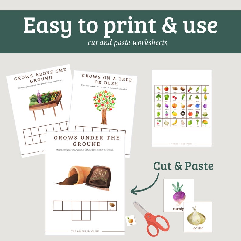 Where Do They Grow Food Sorting Activity Sheets - Etsy