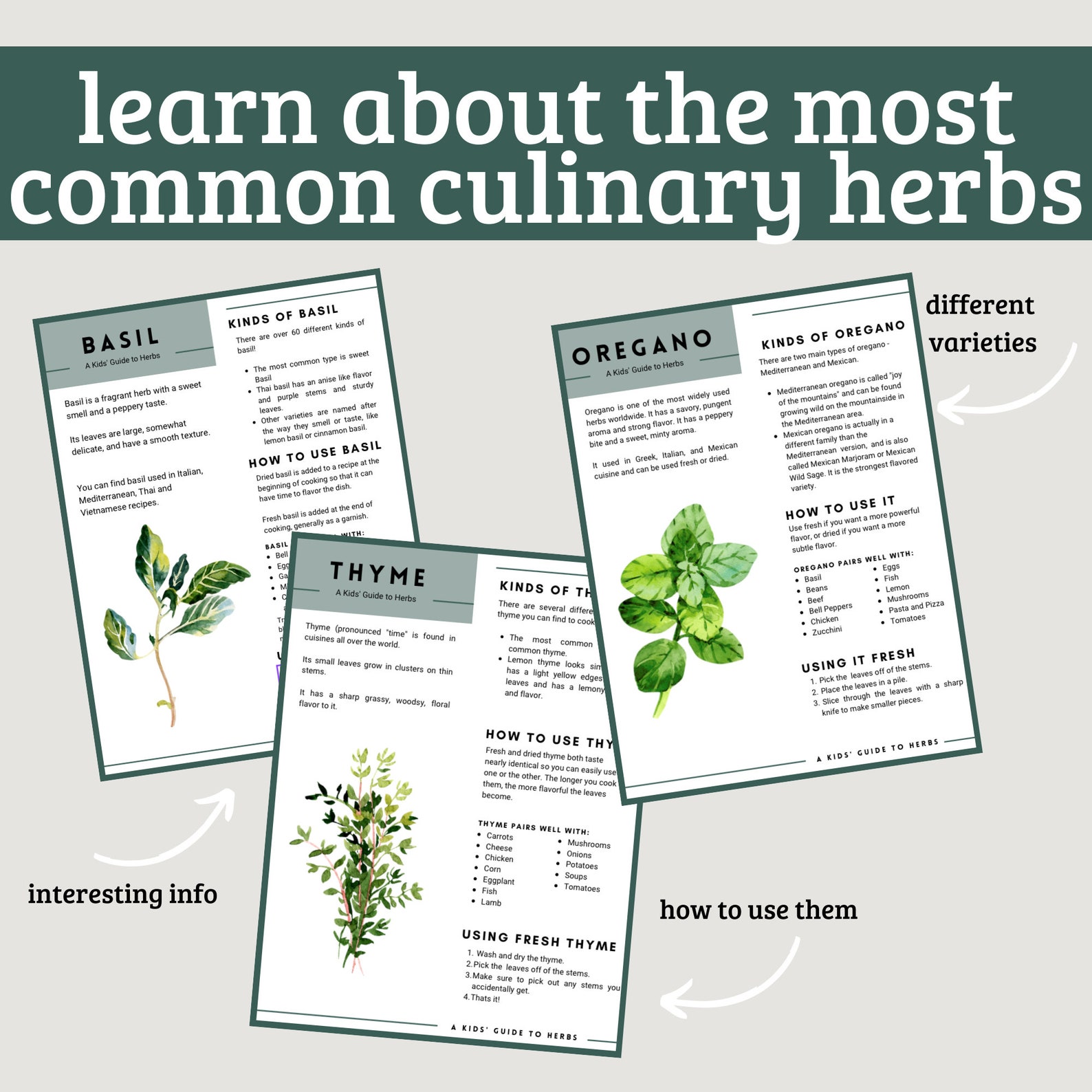 Kids Guide to Herbs Learning Activity, Kids Kitchen Homeschool ...