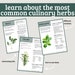 Kids Guide to Herbs Learning Activity, Kids Kitchen Homeschool ...